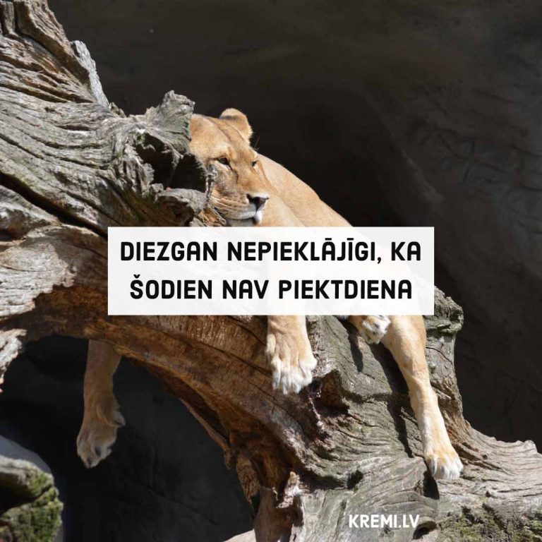 Smieklīgi joki un frāzes jaukai dienai – Kremi