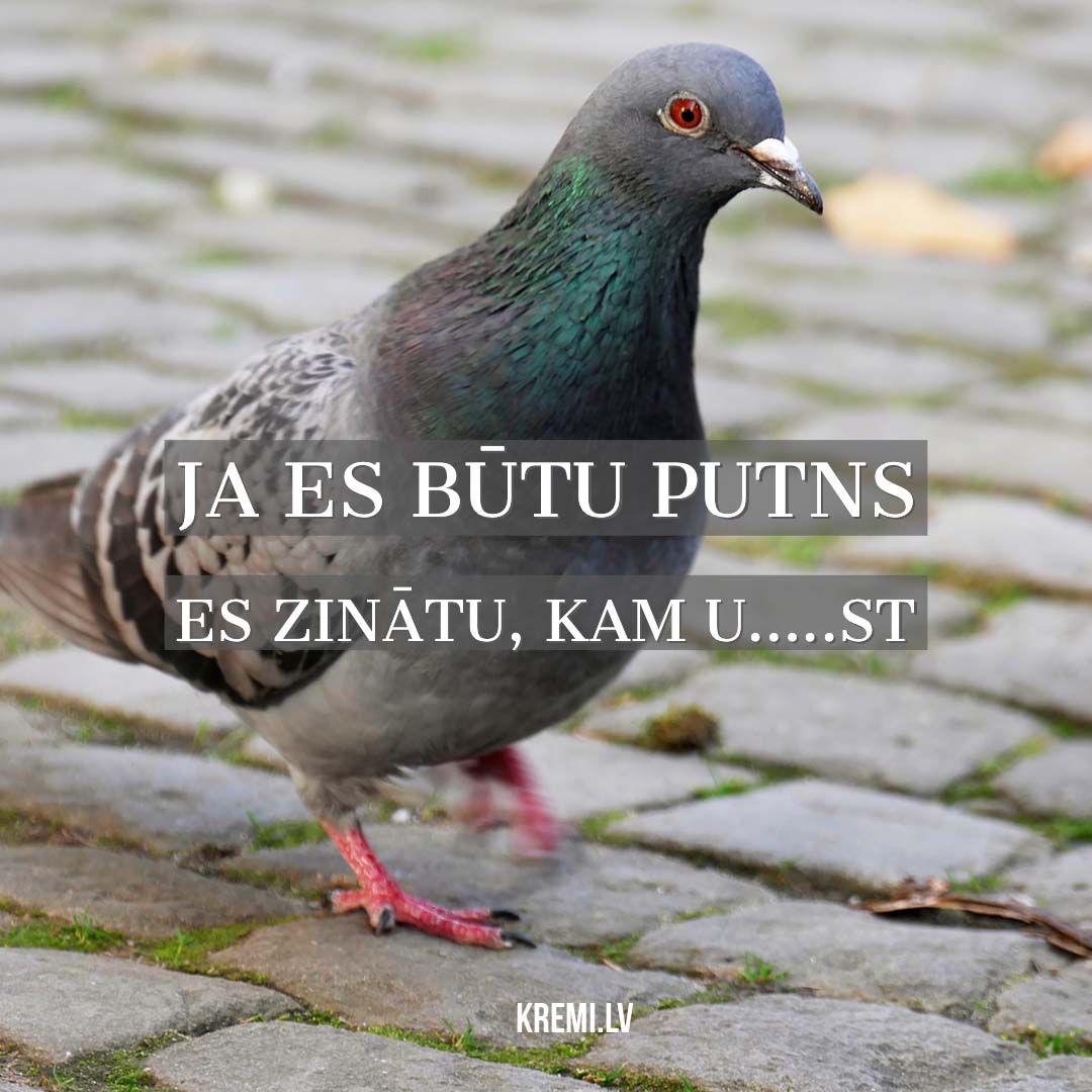 Smieklīgi joki un frāzes jaukai dienai – Kremi