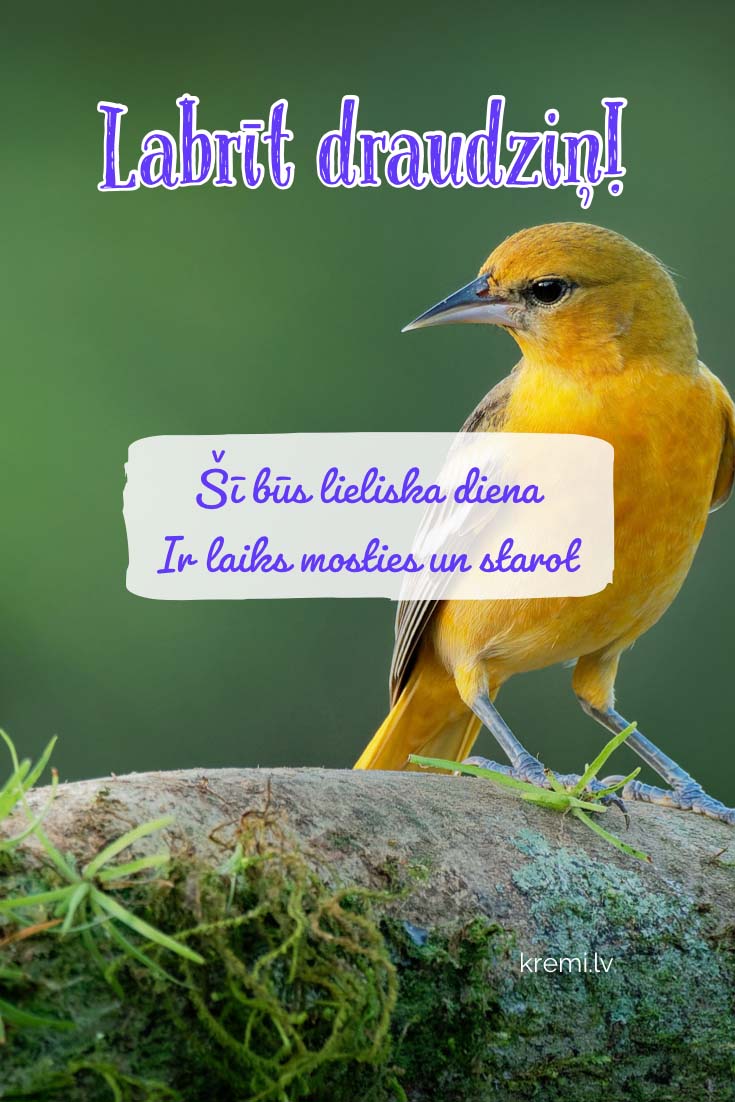 Labrīt novēlējuma kartiņas jaukai dienai – Kremi