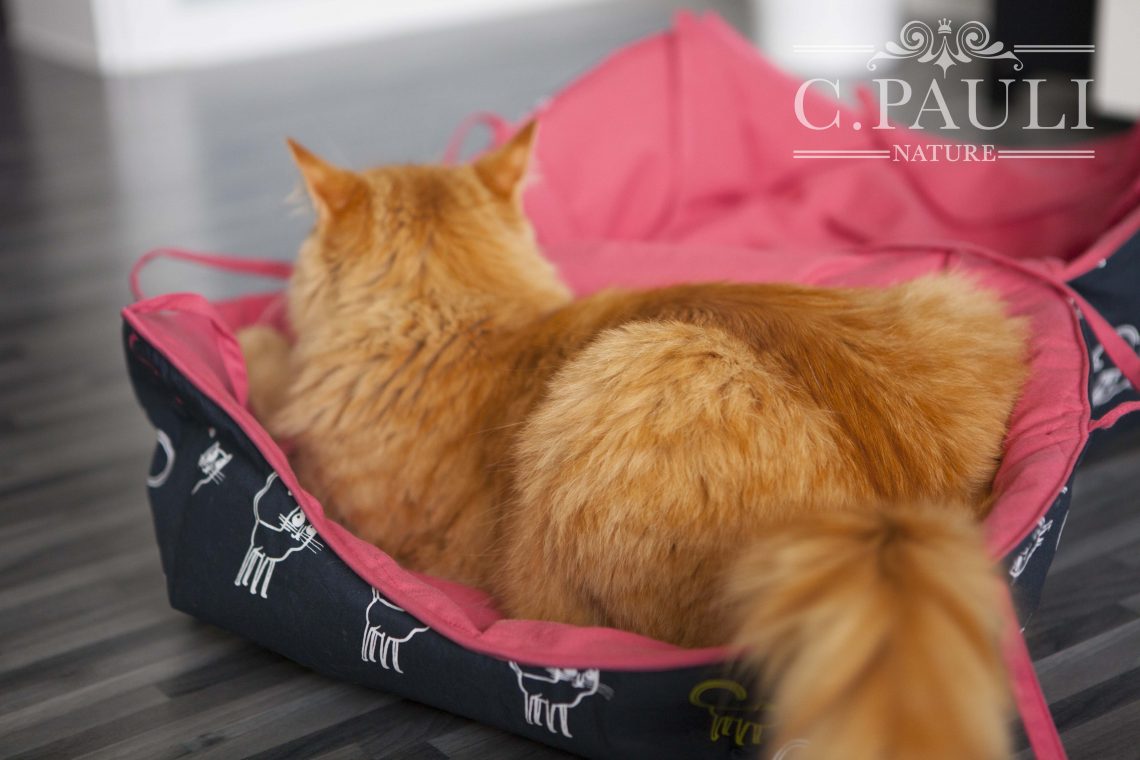 5 Best DIY Fabric Cat Beds Free Patterns – Kremi